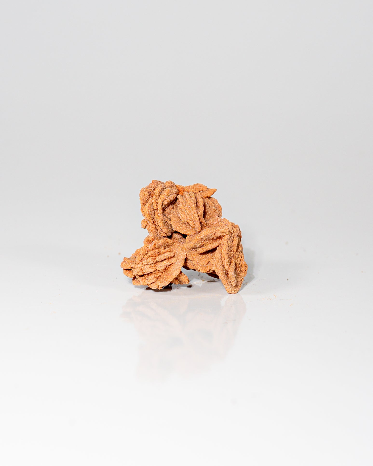 Oklahoma Rose Rocks Clusters Desert Rose. Natural Mineral Close Up Of