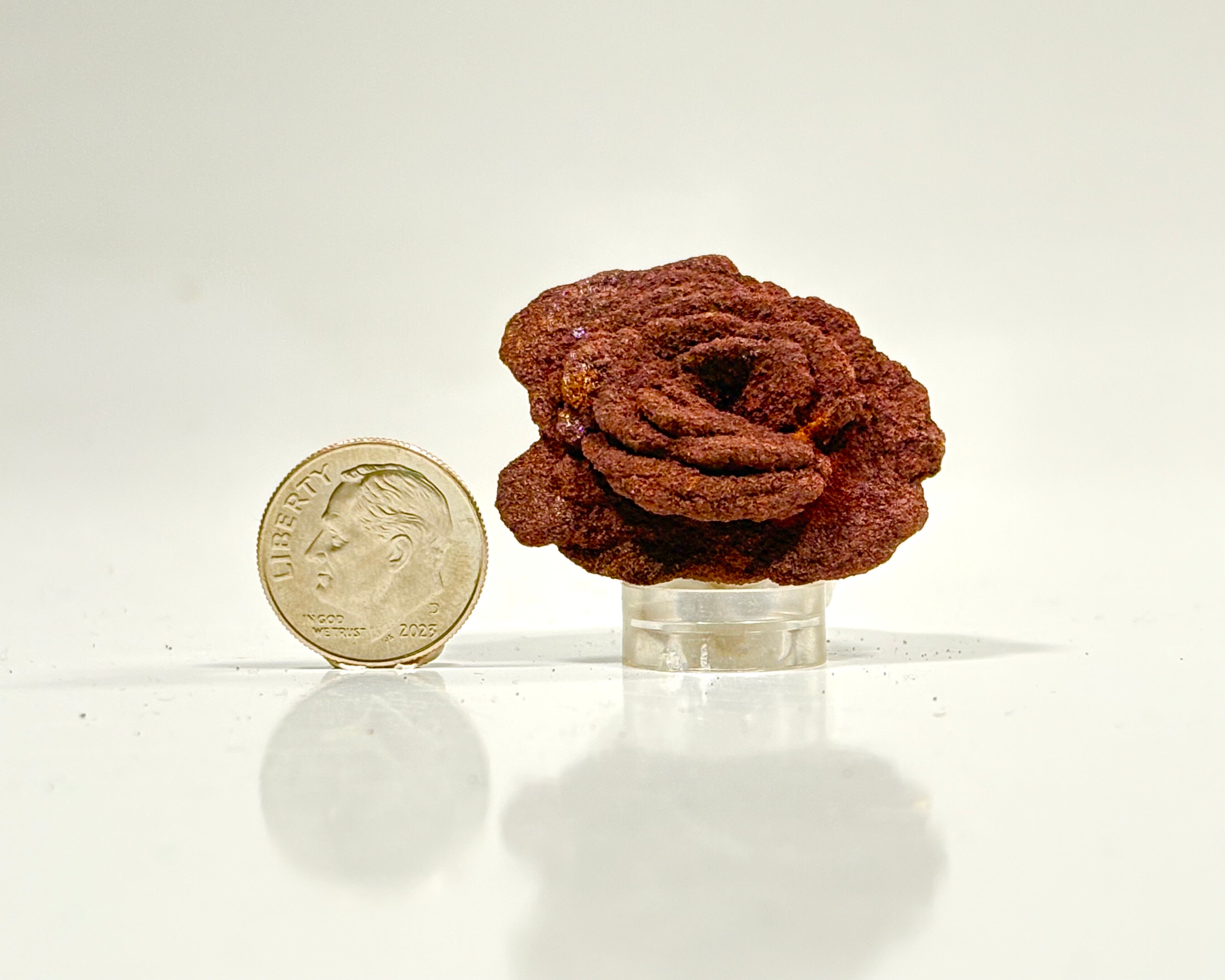 Ultra-Hematitic Barite Rose