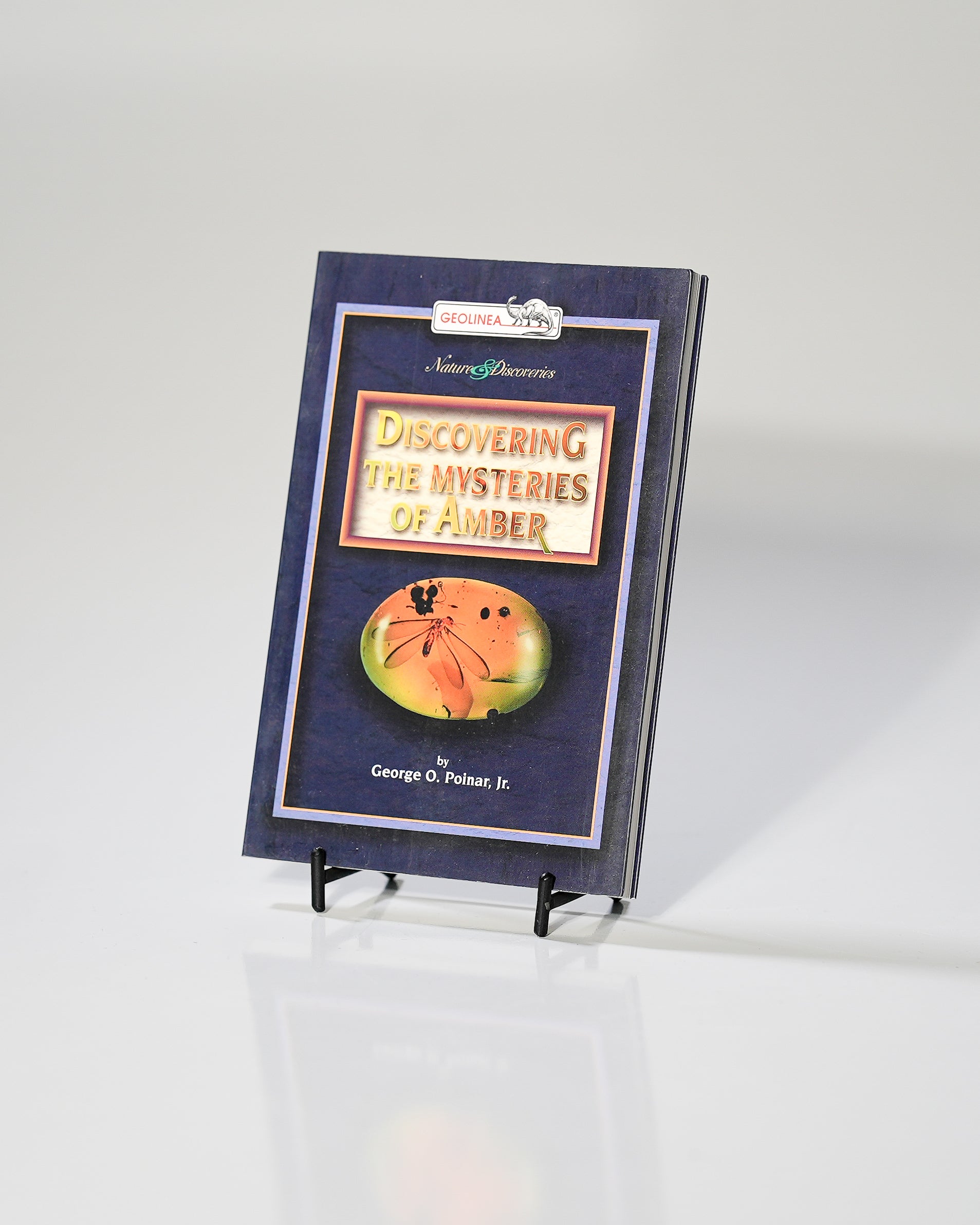 Discovering the Mysteries of Amber Educational Book